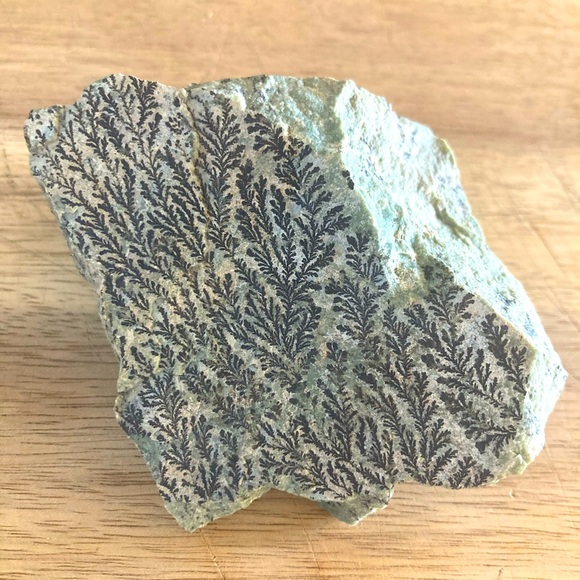 Art | Ancient Dendrite Fossil Rare Green And Purple | Poshmark